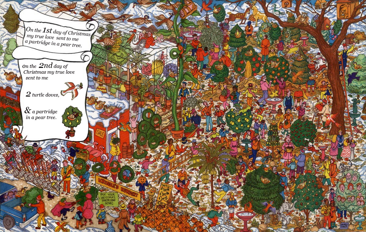 12 Days of Christmas in Picture Puzzles (Fun For the Entire Family ...