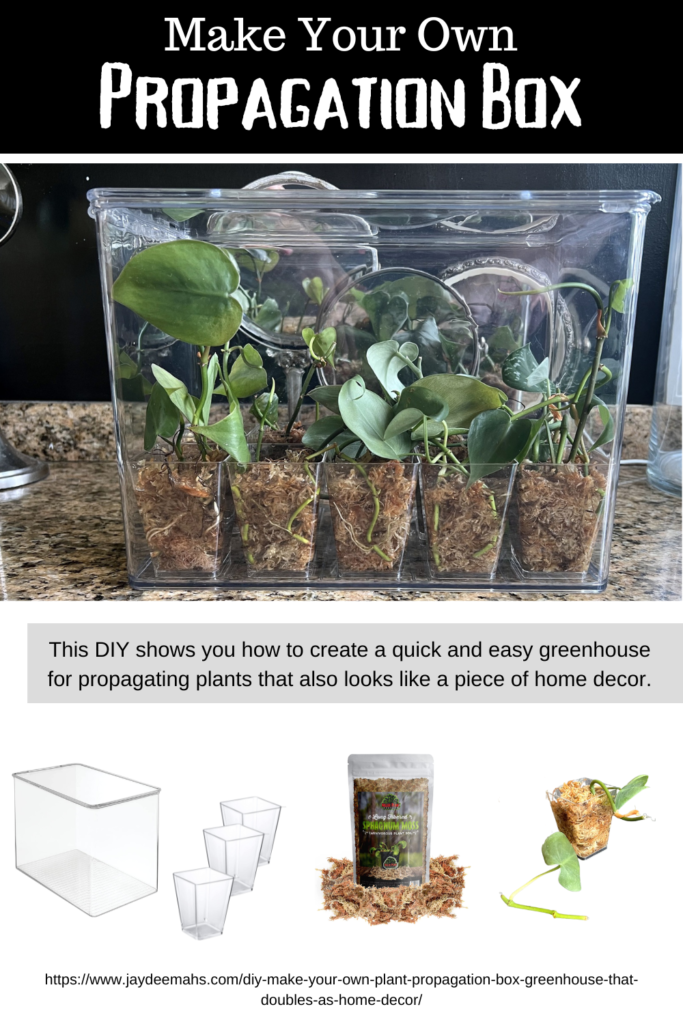DIY: Make Your Own Plant Propagation Box Greenhouse (That Doubles As ...