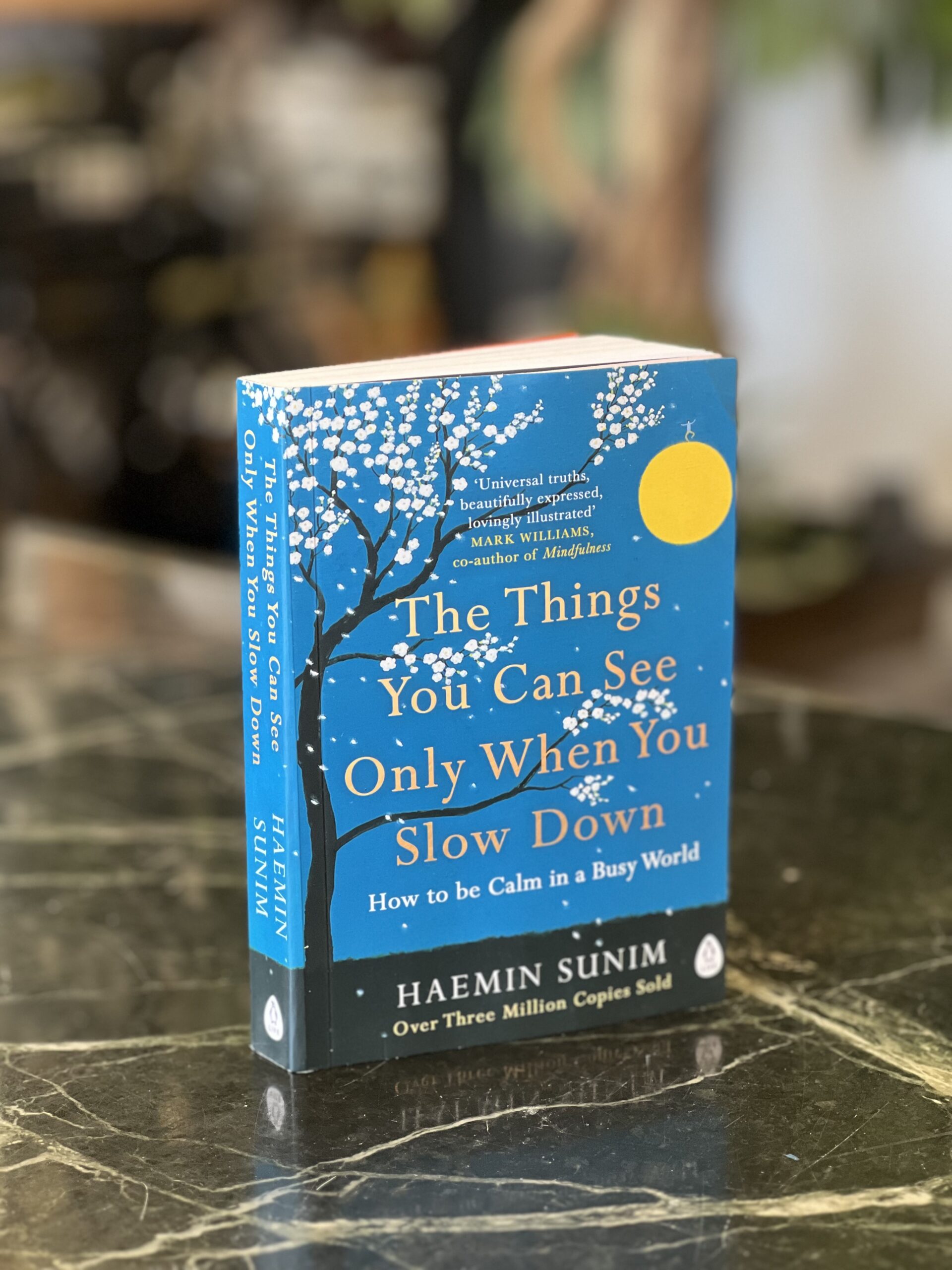 How to Savor the Moment Using This Book - "The Things You Can See Only ...